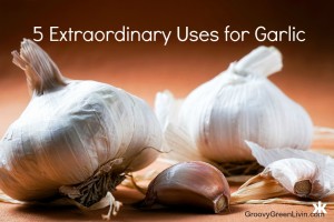 5 Extraordinary Uses for Garlic - Groovy Green Livin