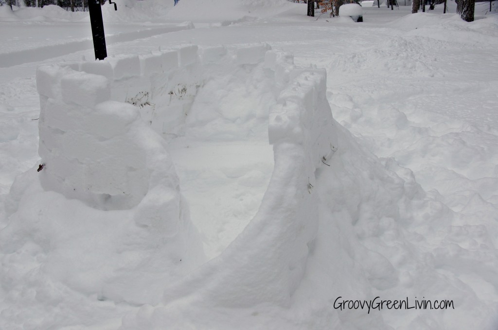 Buried in Snow: Nemo Found Us-Groovy Green Livin