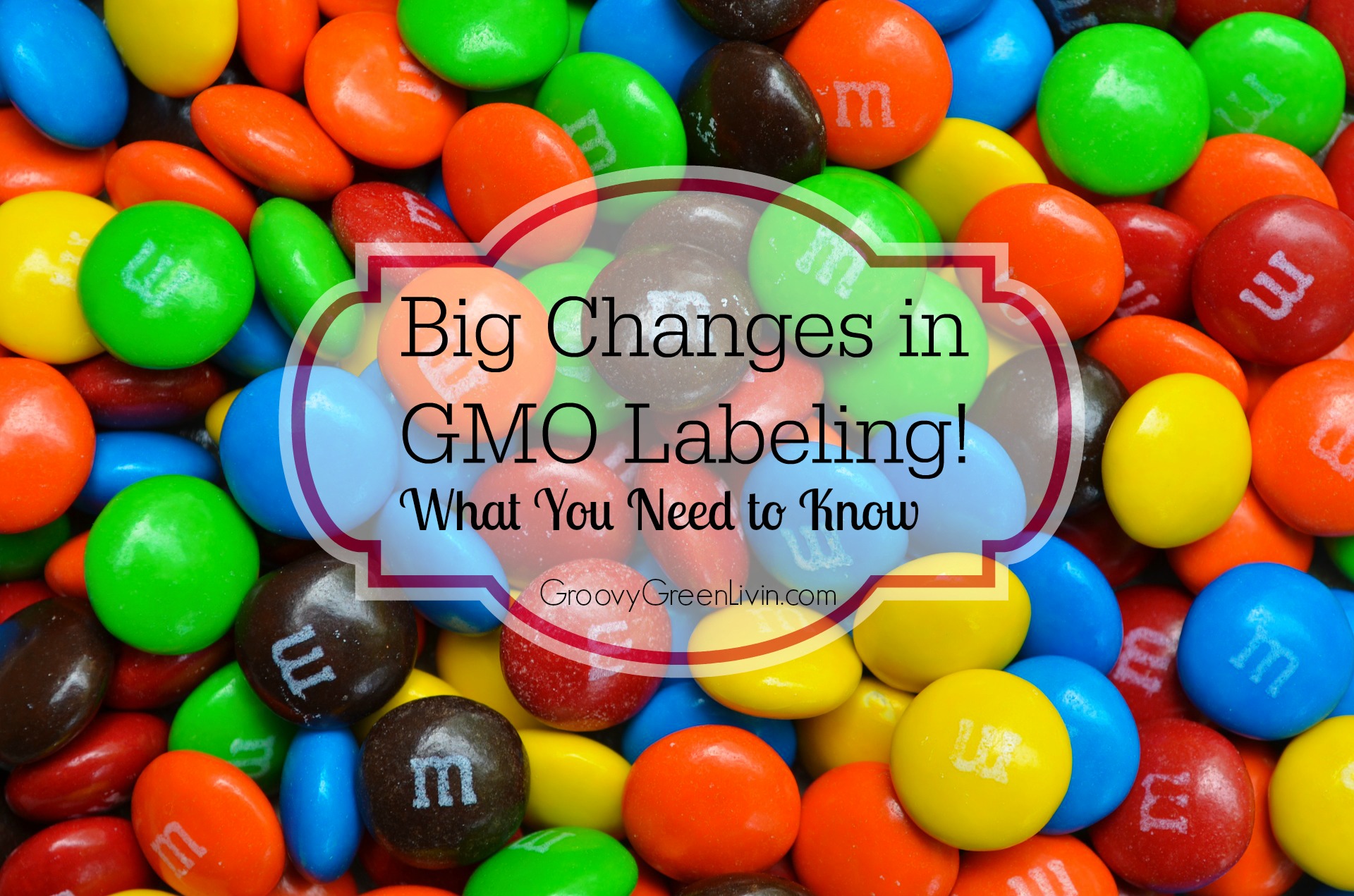 Big Changes In GMO Labeling What You Need To Know